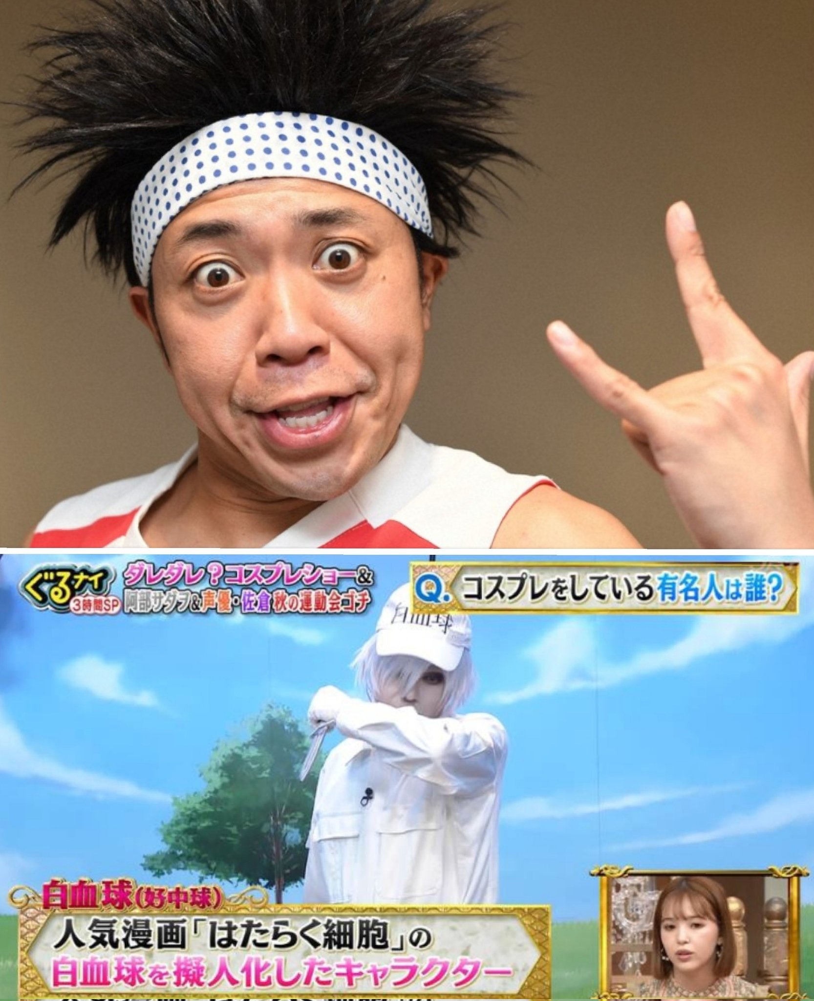 にワカのタイショー On Twitter ぐるナイ サンシャイン池崎の白血球のコスプレ Beforeafterがとんでもなく激しい件 Ddtz3mao0c 