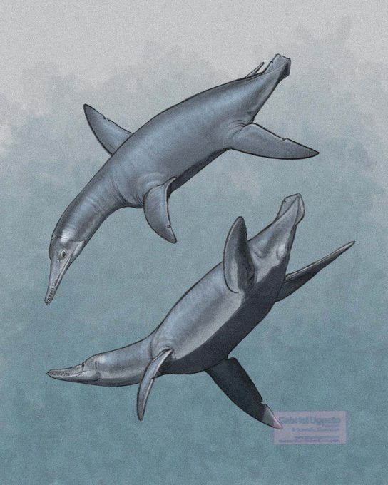 Gabriel N. U. (@SerpenIllus) さんのイラスト・マンガ作品まとめ (1,294 件) - Twoucan