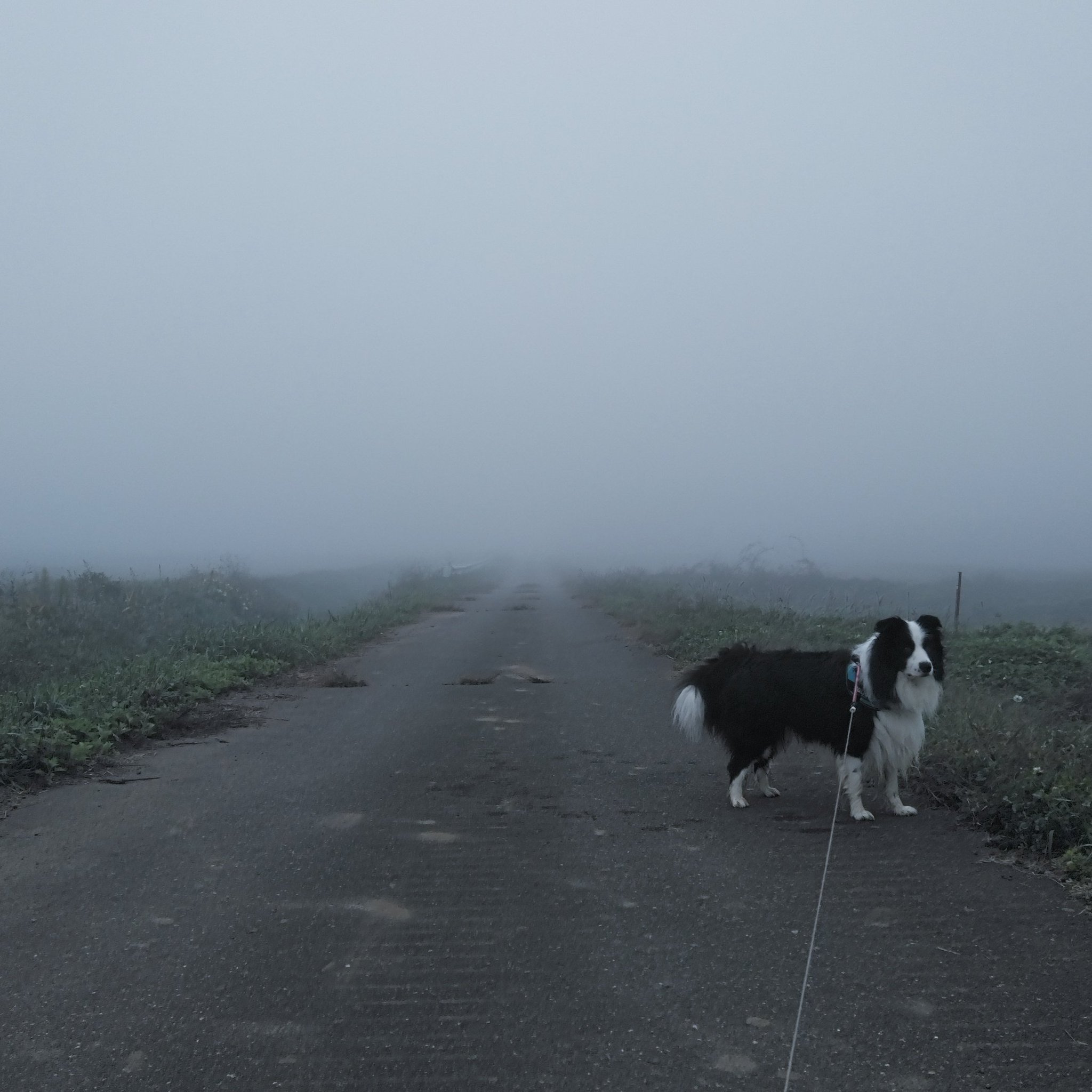 STUDIO_TARAS on Twitter: "真っ白けっけ おはようございます😊 https://t.co/2YcJUxt1QB" / Twitter