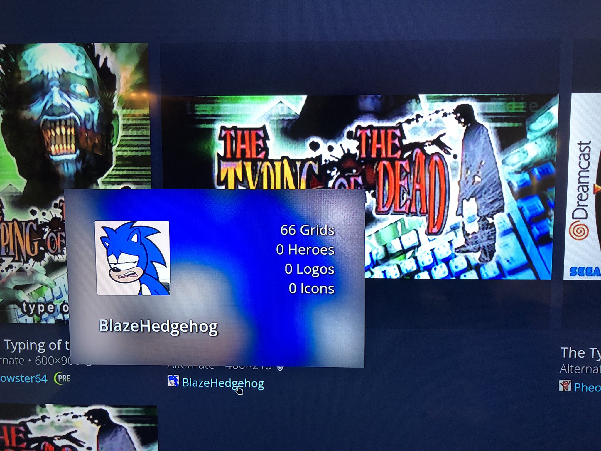 daniel barnes on Twitter: "also, shoutout to @BlazeHedgehog spotted you on SteamGridDB, while ...