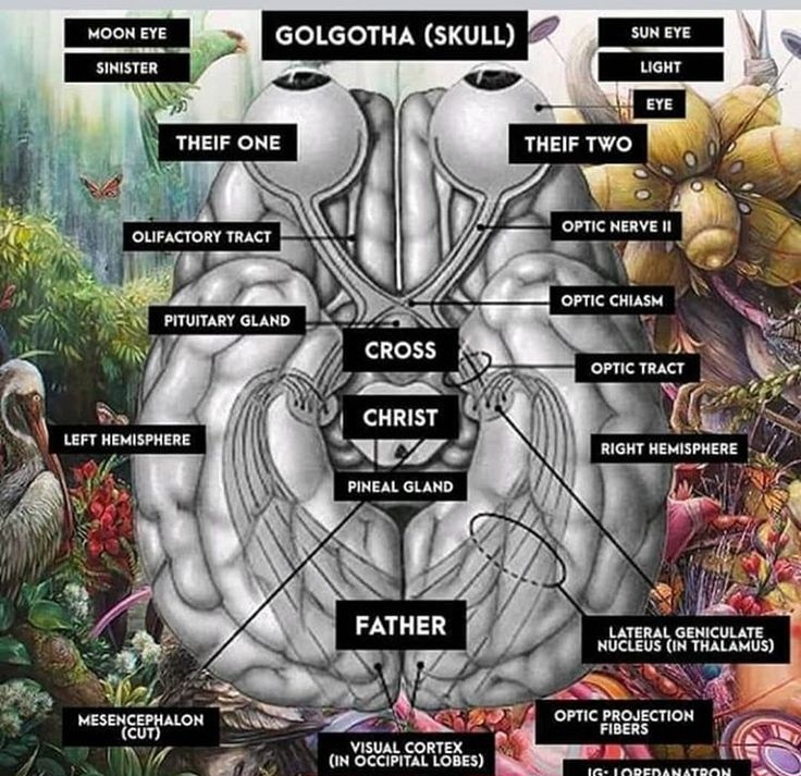 Raising the Christos (🧵) We All Know the Story... Mary & Joseph cross ...