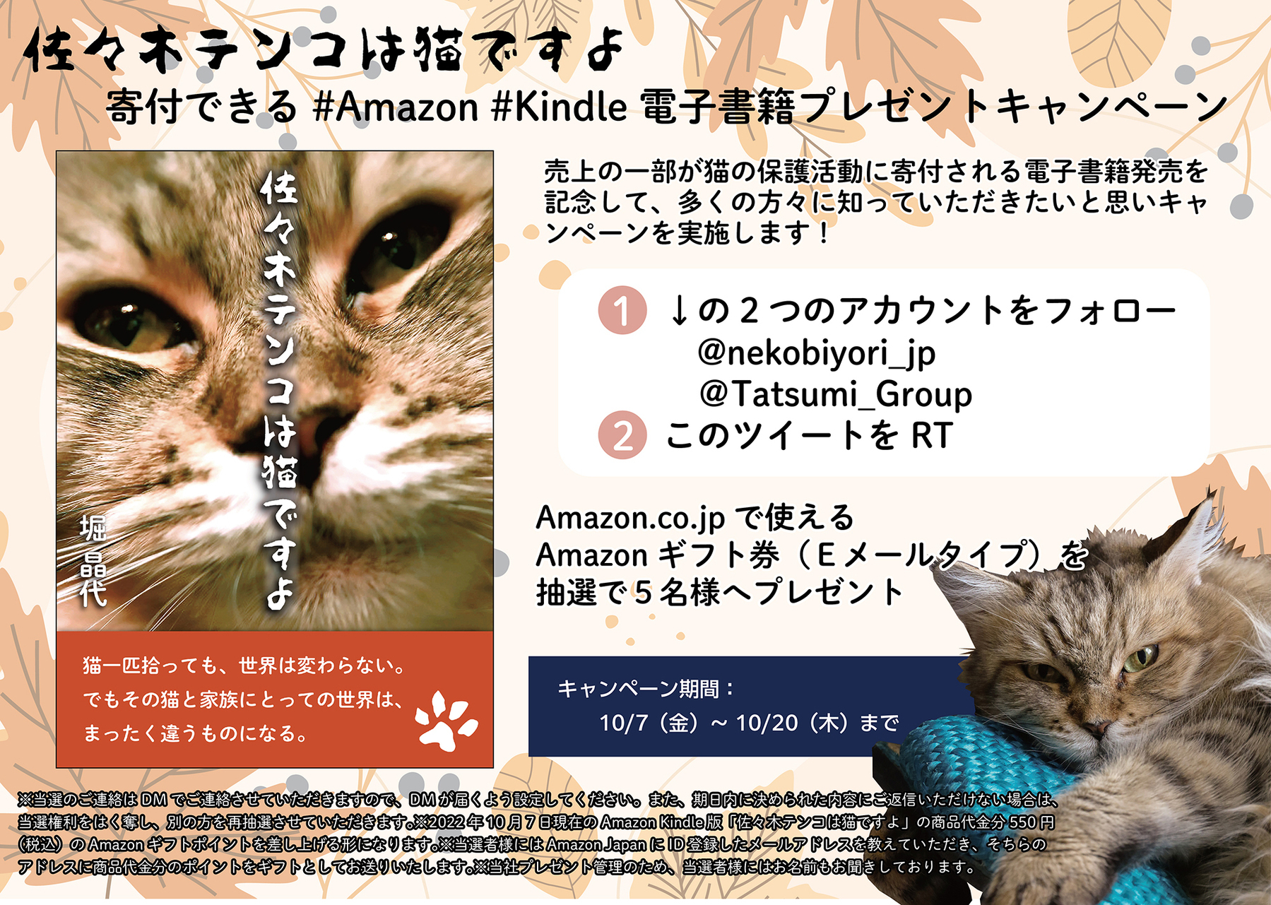 猫びより on Twitter: "「佐々木テンコは猫ですよ」#Amazon #Kindle 電子書籍発売 #プレゼントキャンペーン @nekobiyori_jp @Tatsumi_Group ...