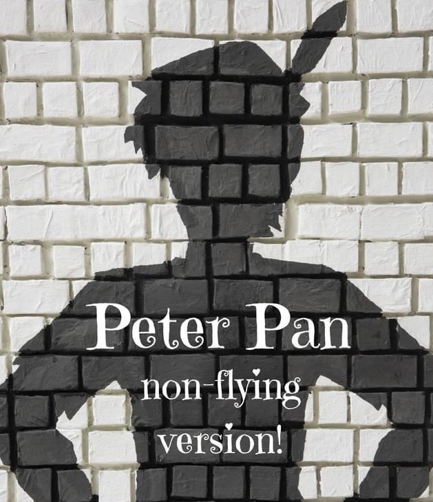 Peter Pan Silhouette Flying