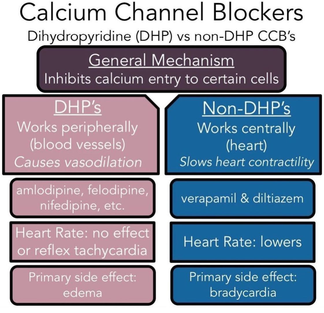 Dhp And Non-dhp Calcium Channel Blockers List Store | fast-lisa.unibo.it