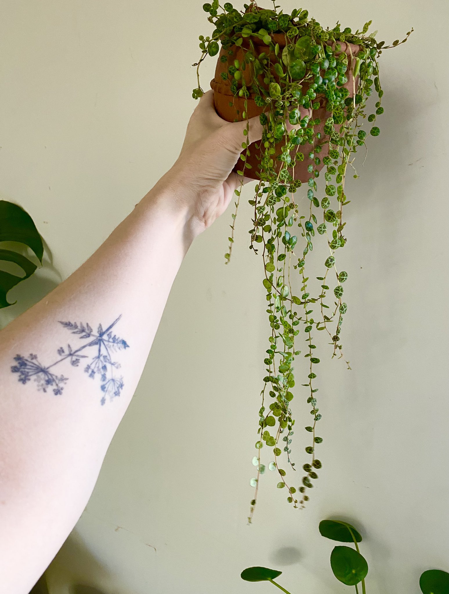 String Of Pearls Tattoo