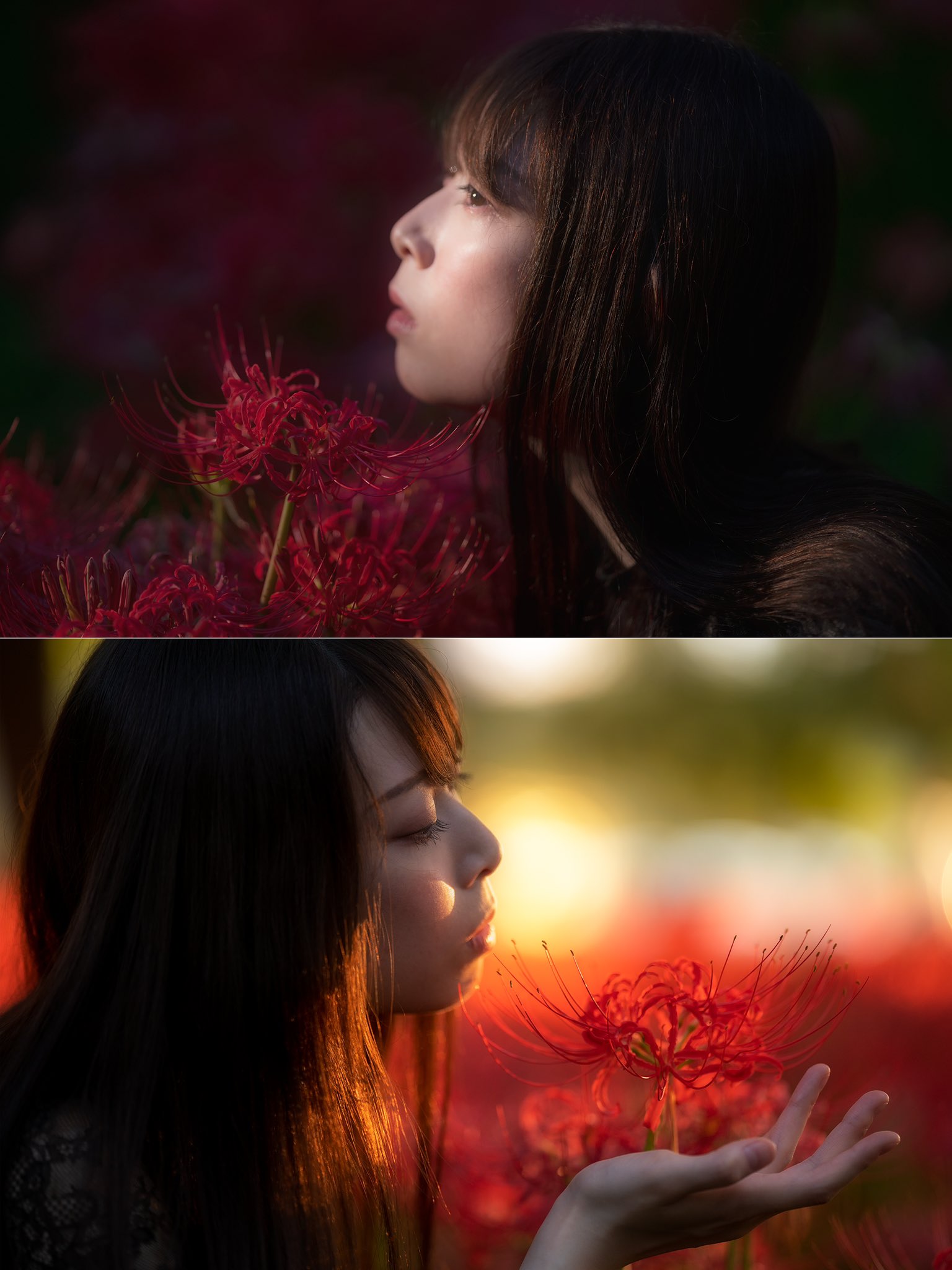 みー on Twitter: "紅のレクイエム… model : 天音れいさん (@amane_rei2929) #天音れい #ポートレート https://t.co/JkbO1dxE2E ...