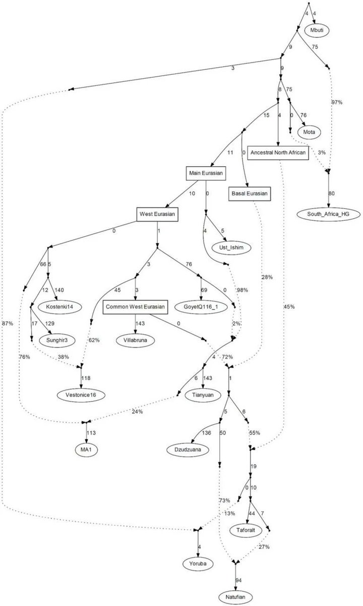qpAdm analyses of the Iberomaurusian🧵 - Thread from Jesse von Eerhart ...