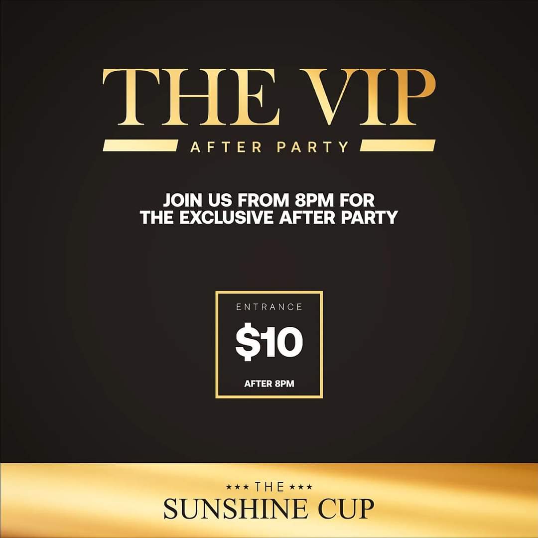 In The Vip After Party