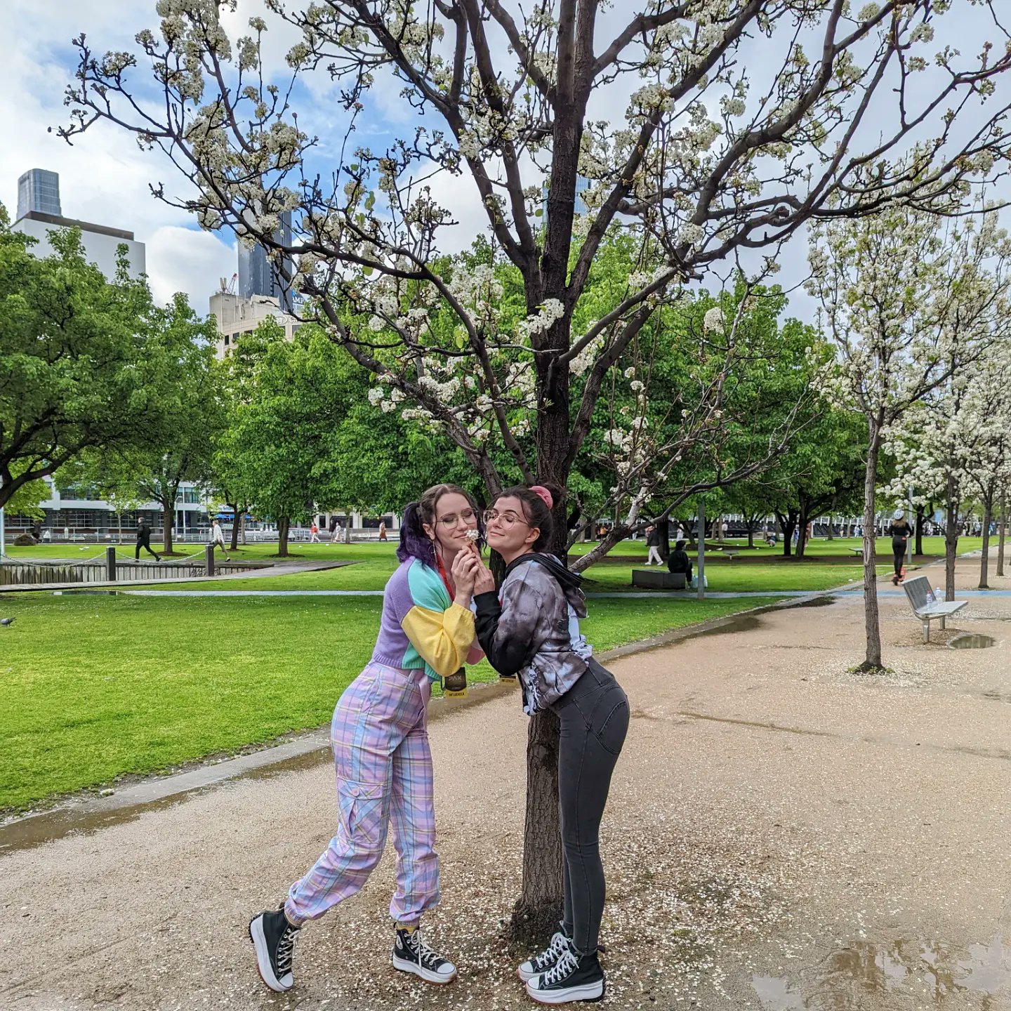 TW Pornstars - 1 pic. Nic The Pixie 🍉. Twitter. Melbourne.... Your pretty trees smell like cum ...