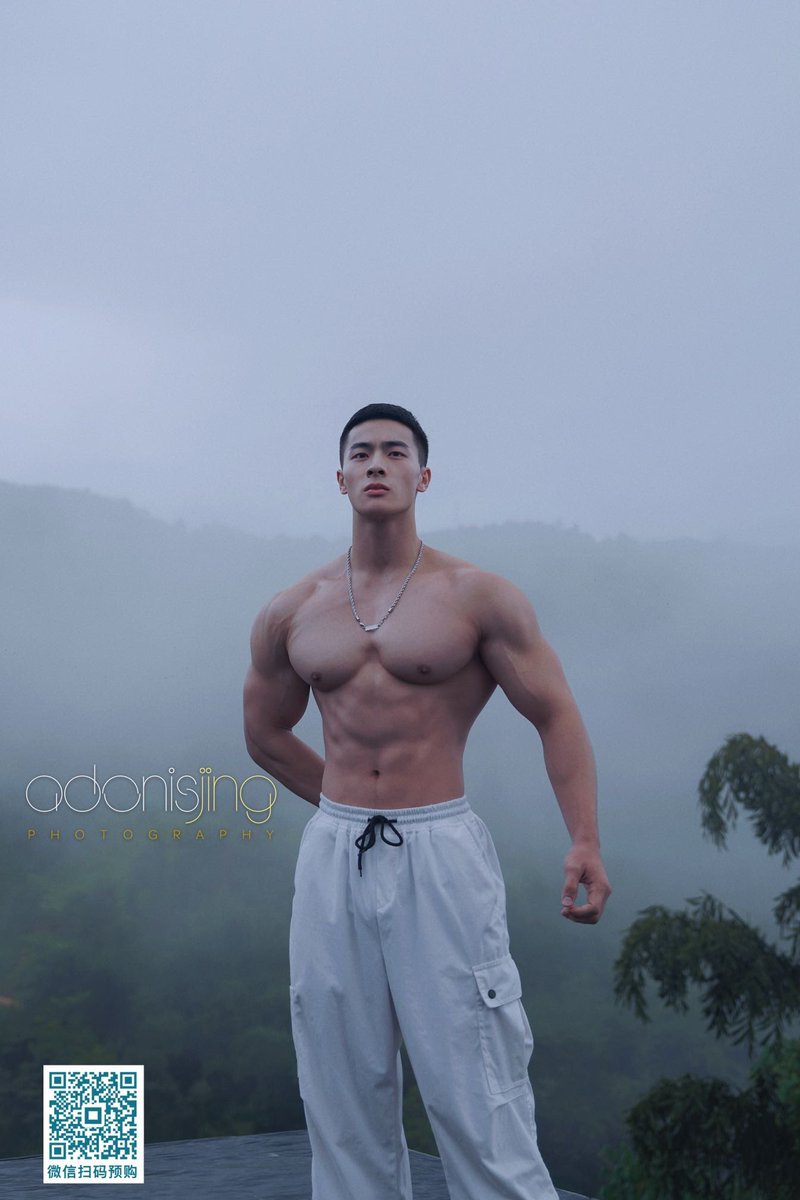 adonisjing @adonisjing2020 Timeline, The Visualized Twitter (Analytics)