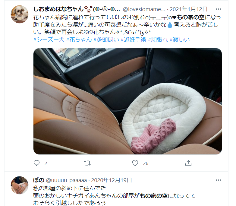 カワイ韓愈 카와이 한유 卡哇伊韩愈 On Twitter 「もの家の空」(ママ Searchq