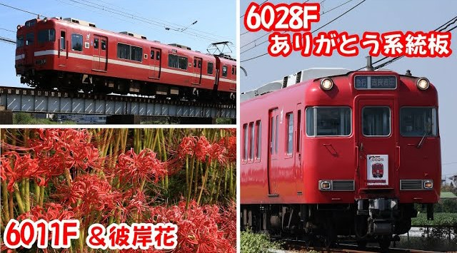 よしたか on Twitter: "#名鉄 #西尾線 #蒲郡線 #6000系 #6011F #6028F #彼岸花 【動画臨時更新】 名鉄6000系の撮影📸白帯6011Fは彼岸花と絡めて撮り ...