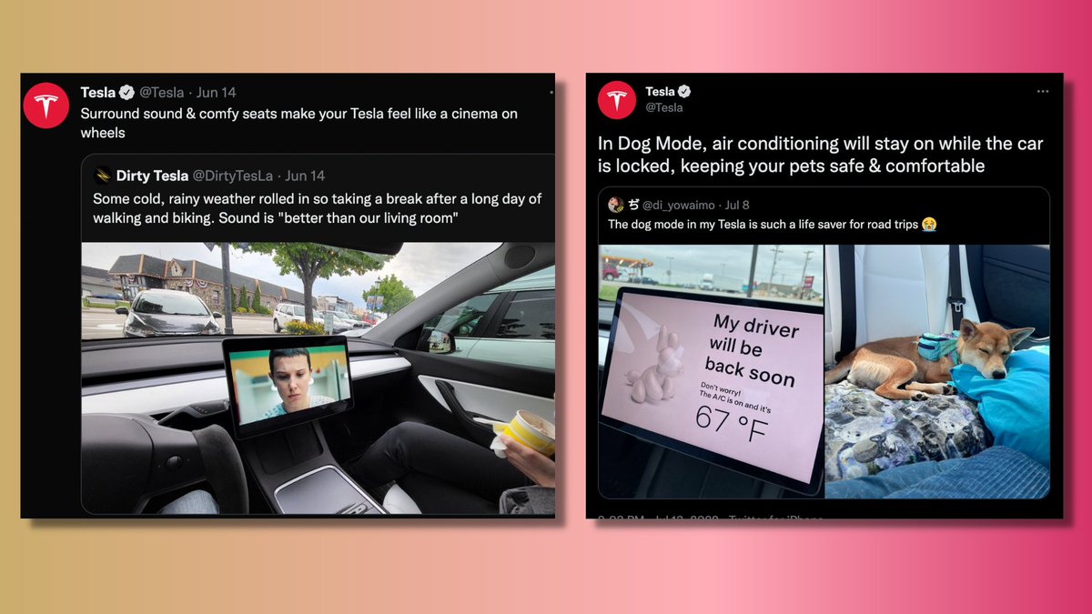 Tesla is one of the fastest-growing companies on the planet ...