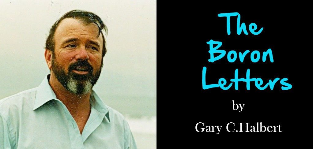 I read all 25 of The Boron Letters by Gary Halbert The result? 9 ...