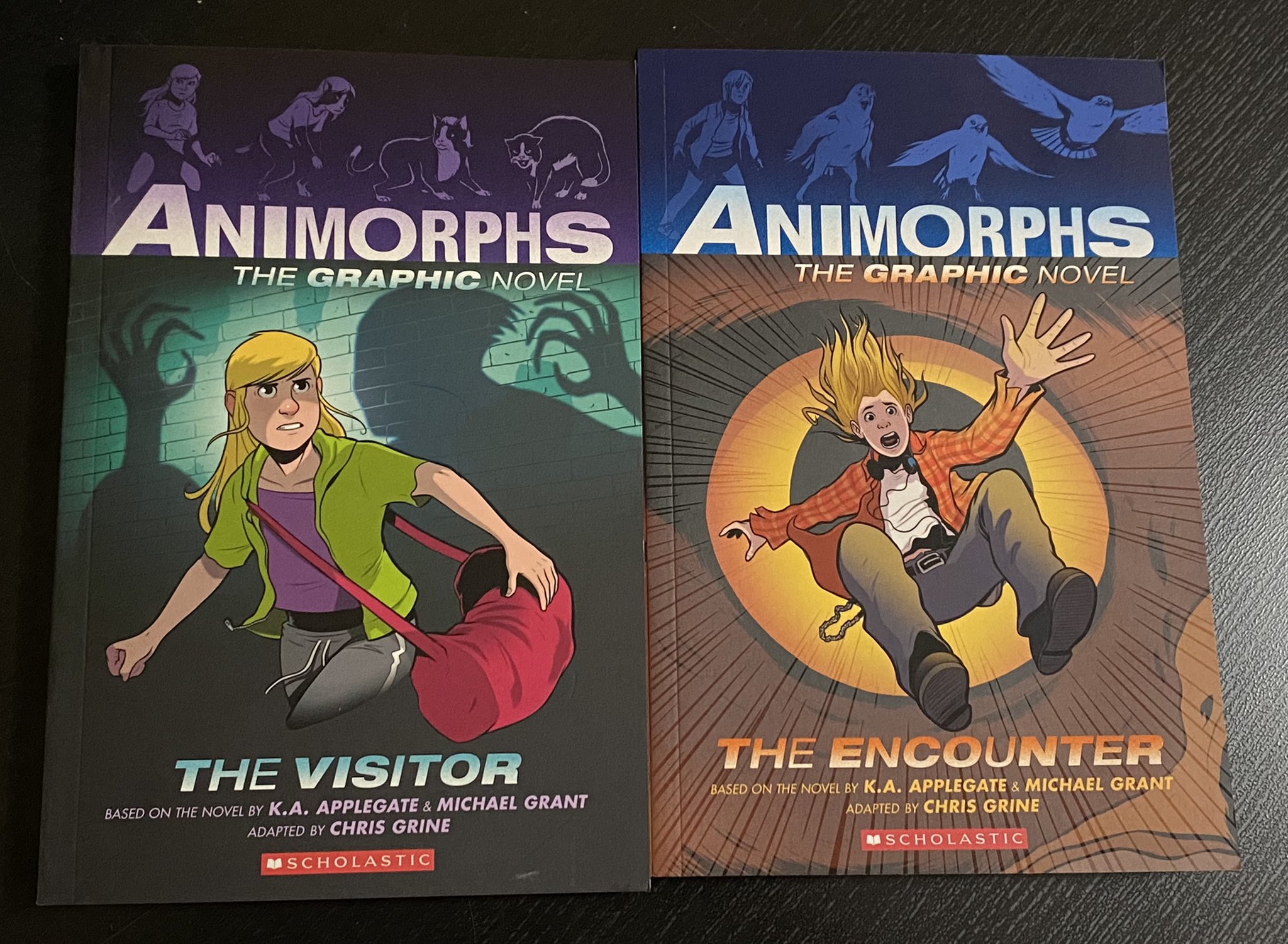 The Encounter Animorphs