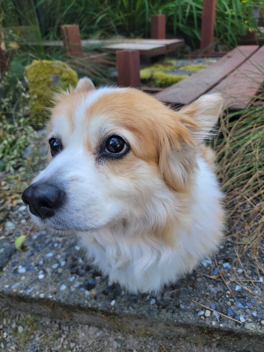 Ani Mia 🍥 On Twitter Tia Says Hi
