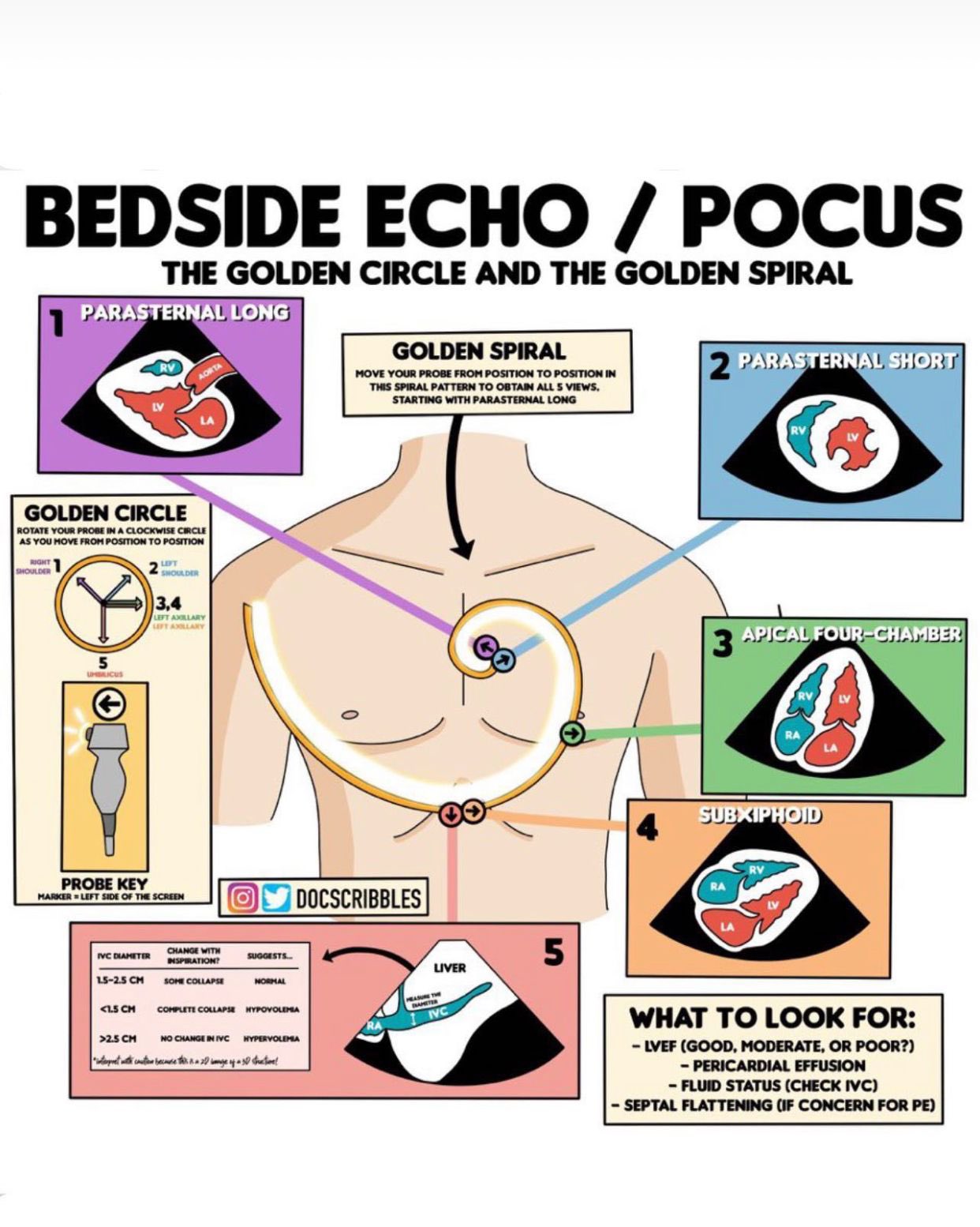 Alejandro Moya on Twitter: "ACEP acaba de sacar estas tarjetas súper útiles para apoyarse en la ...