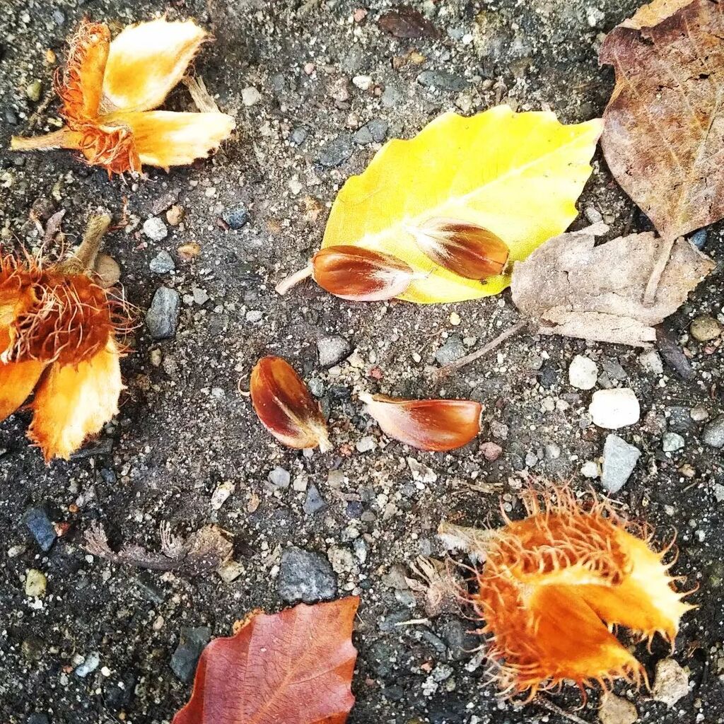 「https://t.co/sTsmyJOnXp 」|Tetsu Kayamaのイラスト