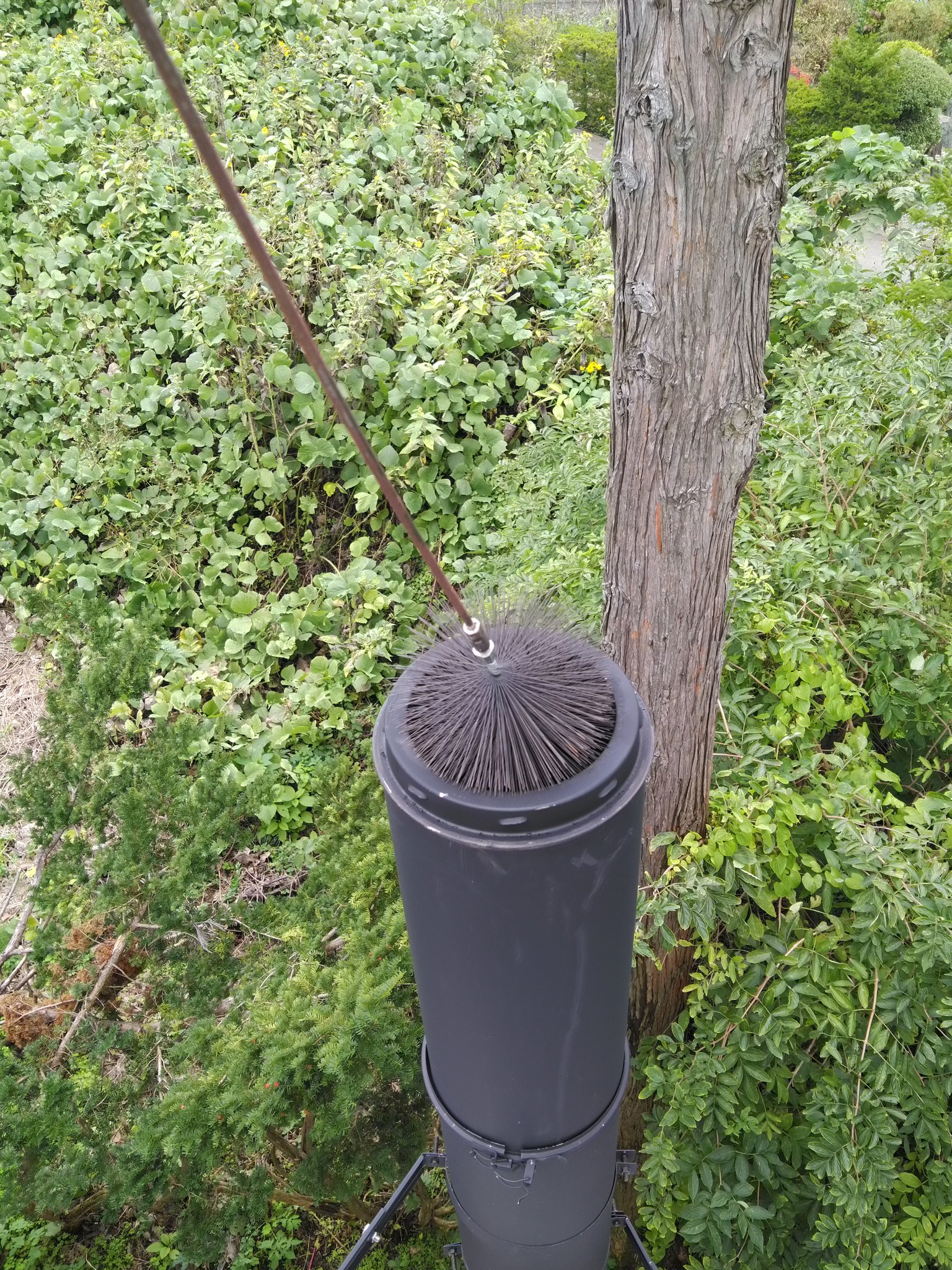 STUDIO_TARAS on Twitter: "いざ！ゴシゴシ💪 こぇ～💦 https://t.co/0xnUPOsrOi" / Twitter