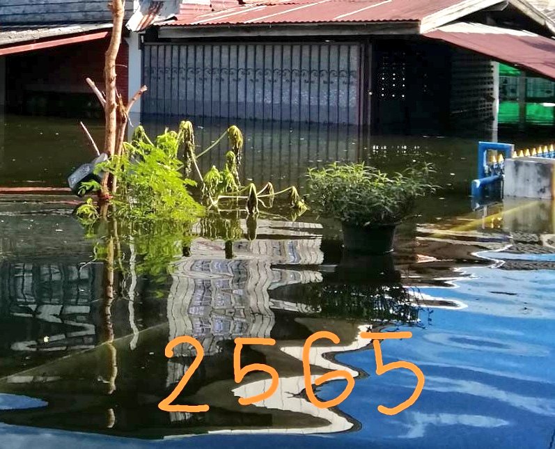 Mali on Twitter: "RT @punyanuch45: น้ำท่วมบ้านปี 62 ยังพอเห็นรั้ว ปีนี้ 2565 ท่วมจนมิดรั้วและยัง ...
