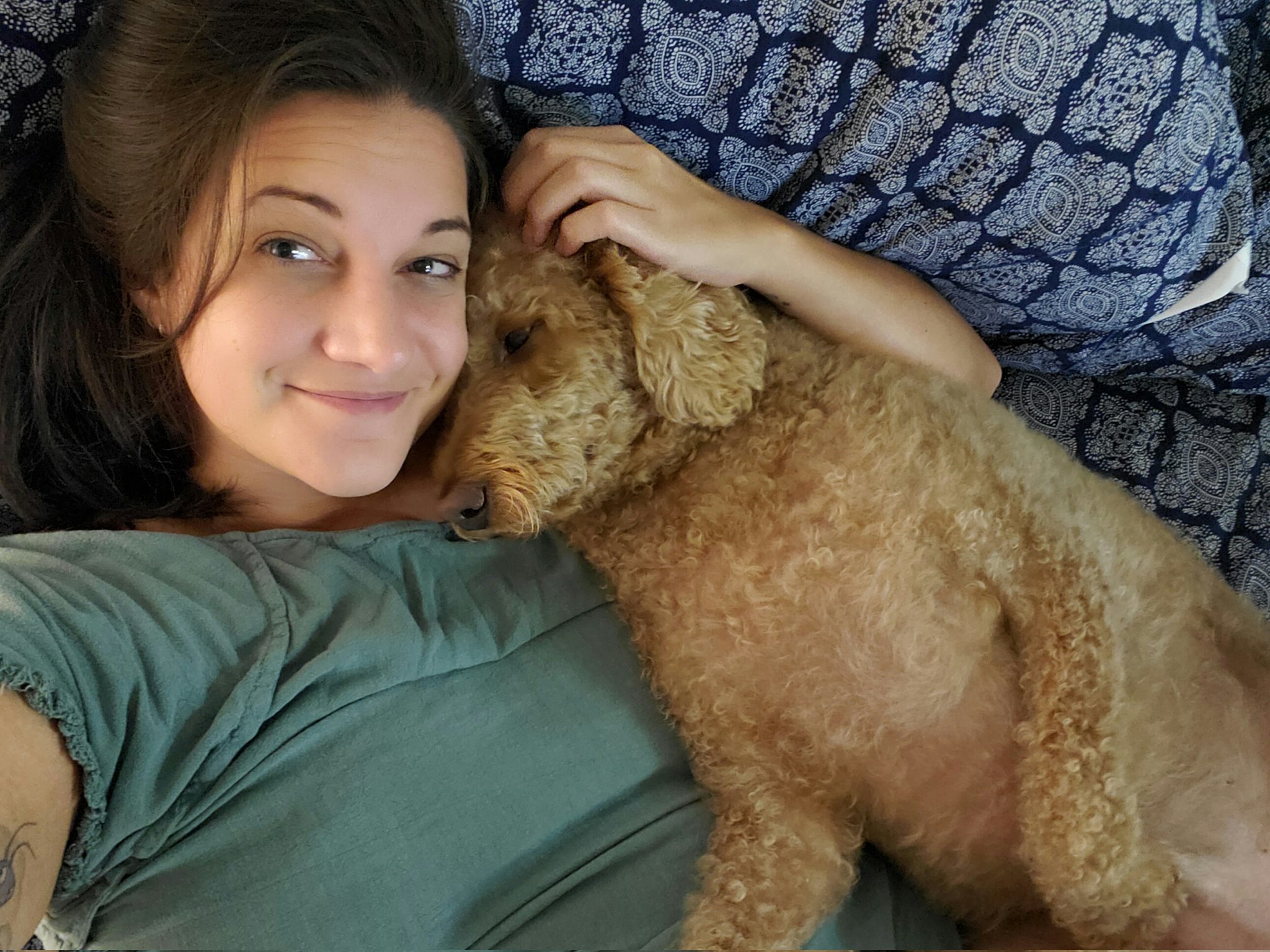 ShadowFox (@ShadowFox_TV) / Twitter