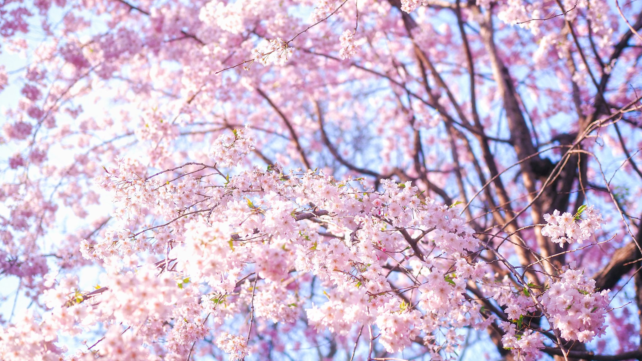 yuya (@yuya0240) / Twitter