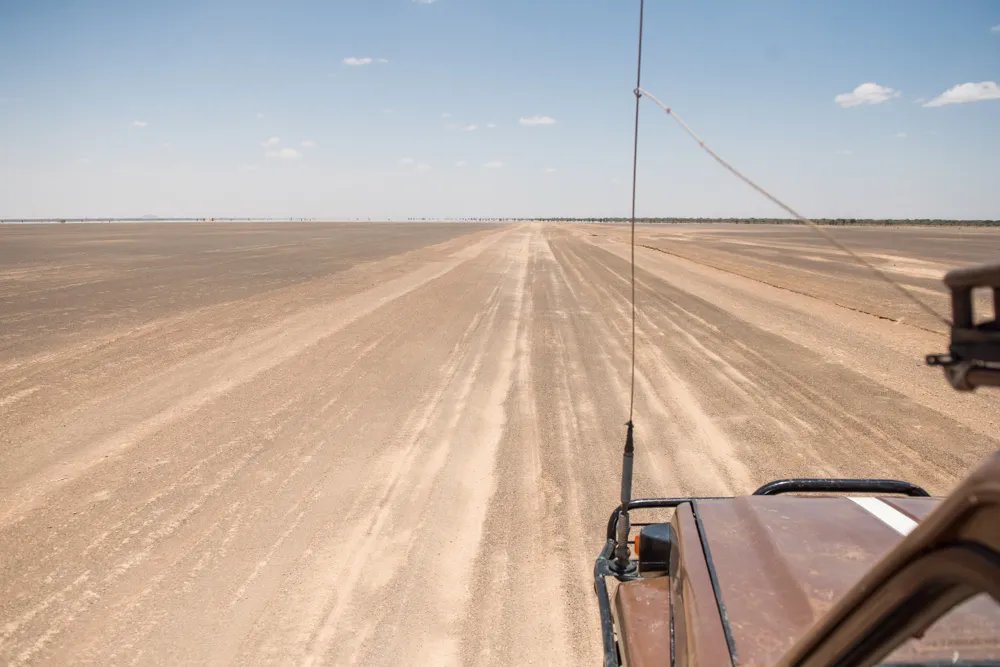 Adam Maina ™'s Threads – Thread Reader App