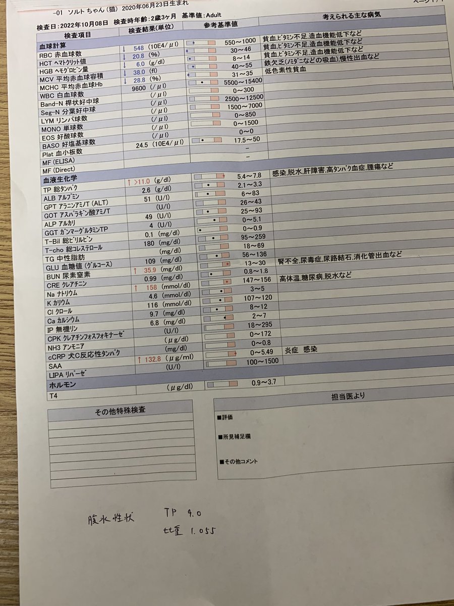 ソルトパパfip闘病中 On Twitter 昨日 3件の病院を回りましたが 『残念ですがfipのウェットタイプ以外考えられない』 『もう長くても1ヶ月しか生きられない』 と診断されまし