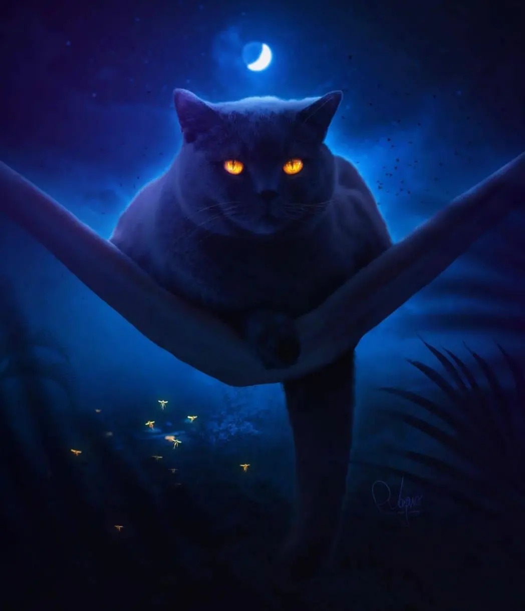 gregorio catarino on Twitter: "Midnight Meow Art by @pmw_psd https://t.co/R3c29WyNMq" / Twitter