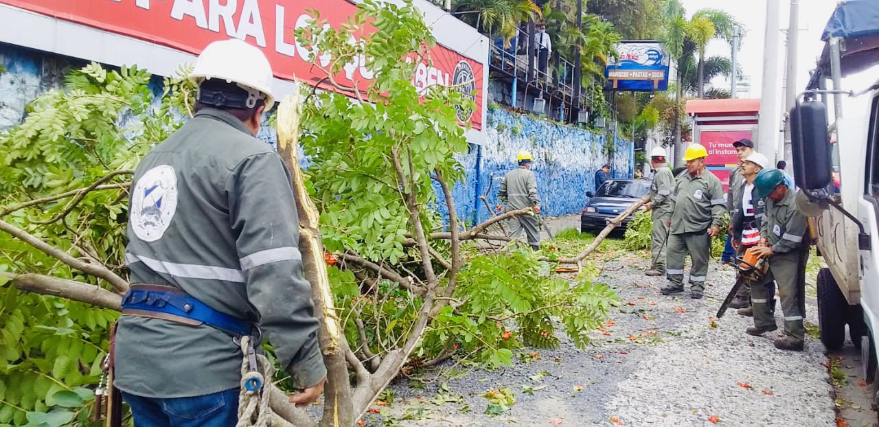 Alcaldía de San Salvador on Twitter: Alcaldía de San Salvador on Twitter: