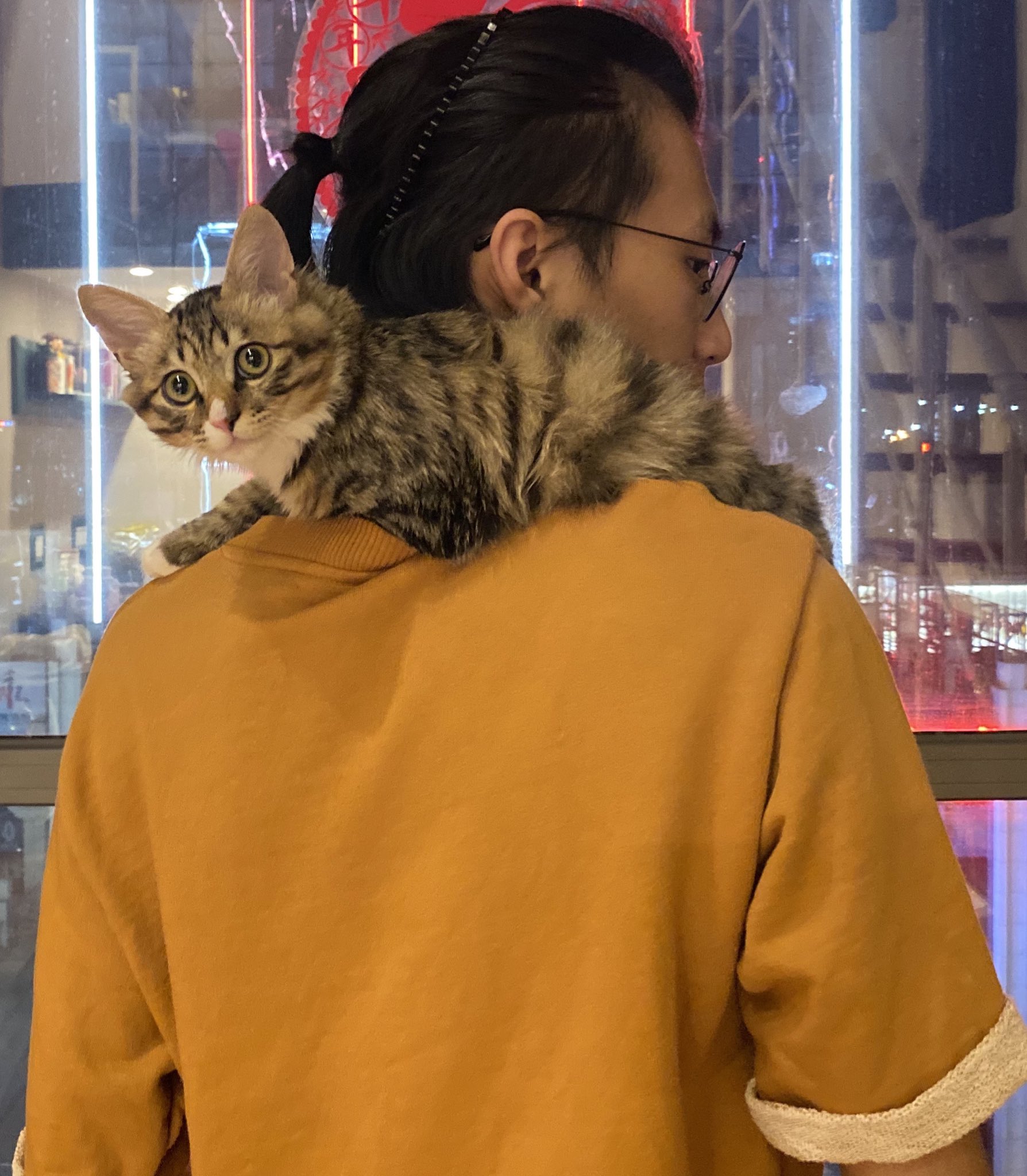 Panda рџ њ рџ ќ рџђј On Twitter That S Me Https T Co Zdykbc01pl Twitter