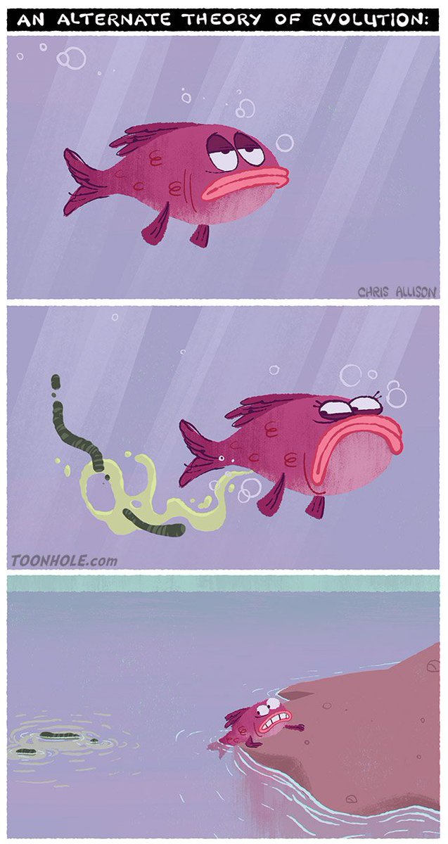 Theory Of Evolution Fish