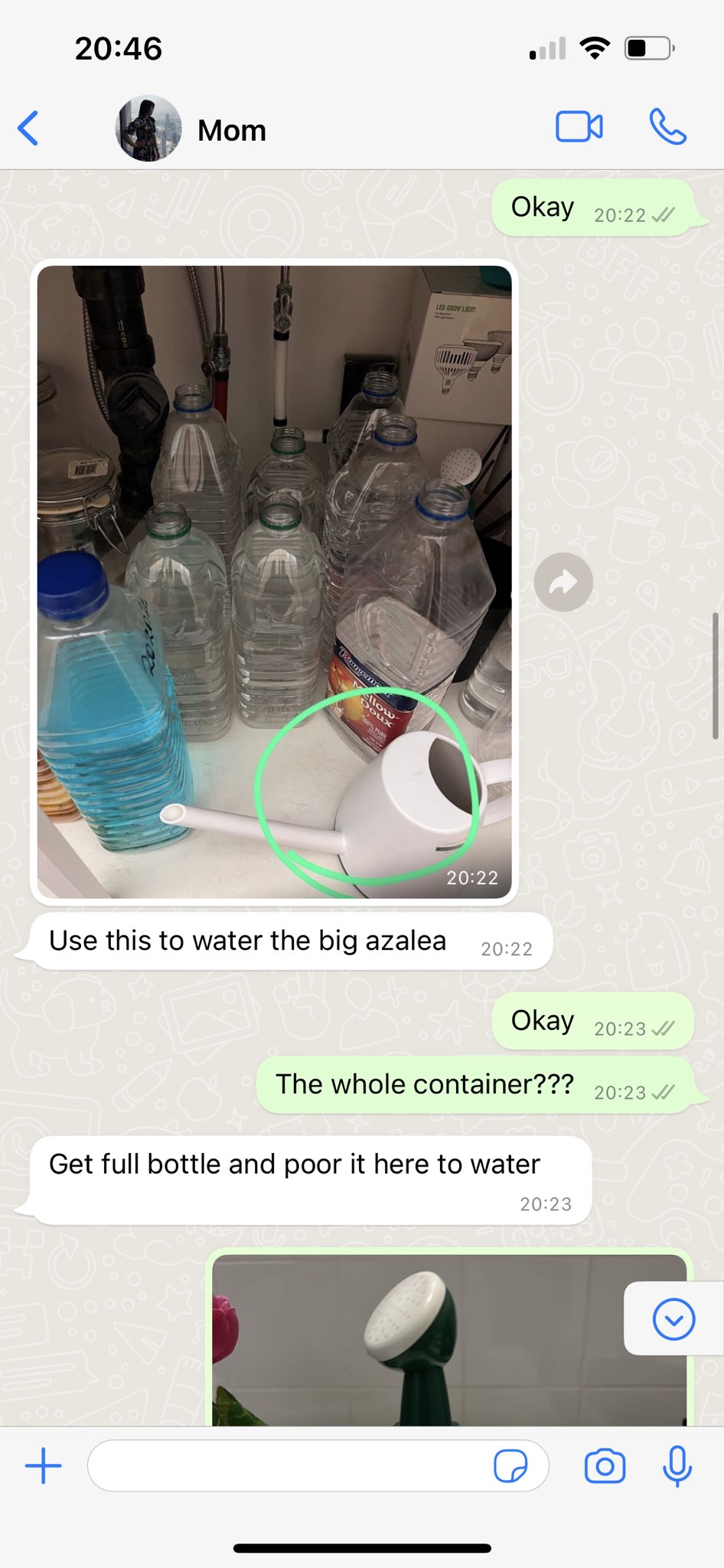 bao 🦀🍜 on Twitter: "my mom asked me to water her plants while she's sick & many messages were ...