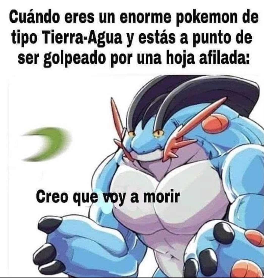Pokemon Esmeralda Memes