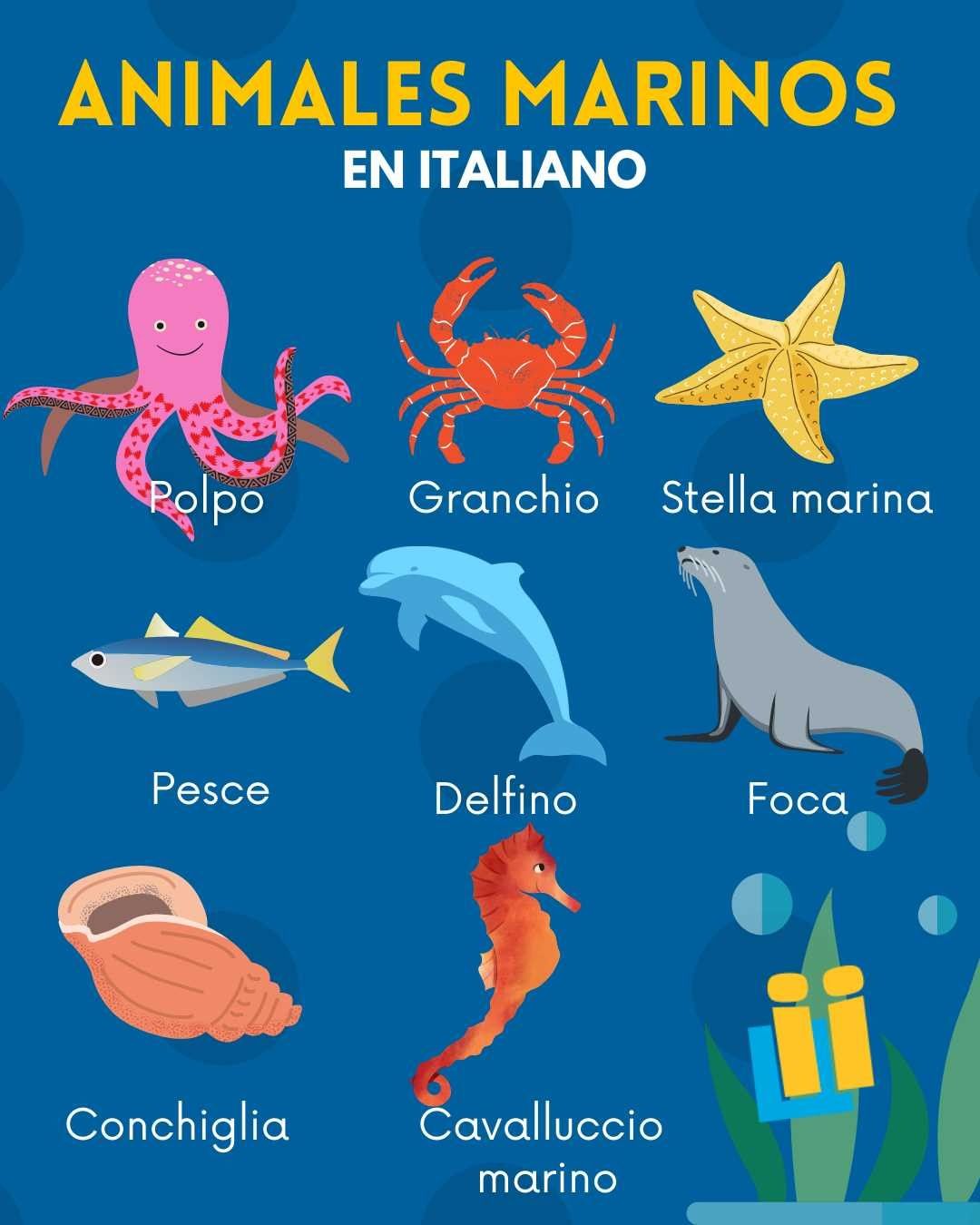 Imagenes De Animales Acuaticos Con Nombres