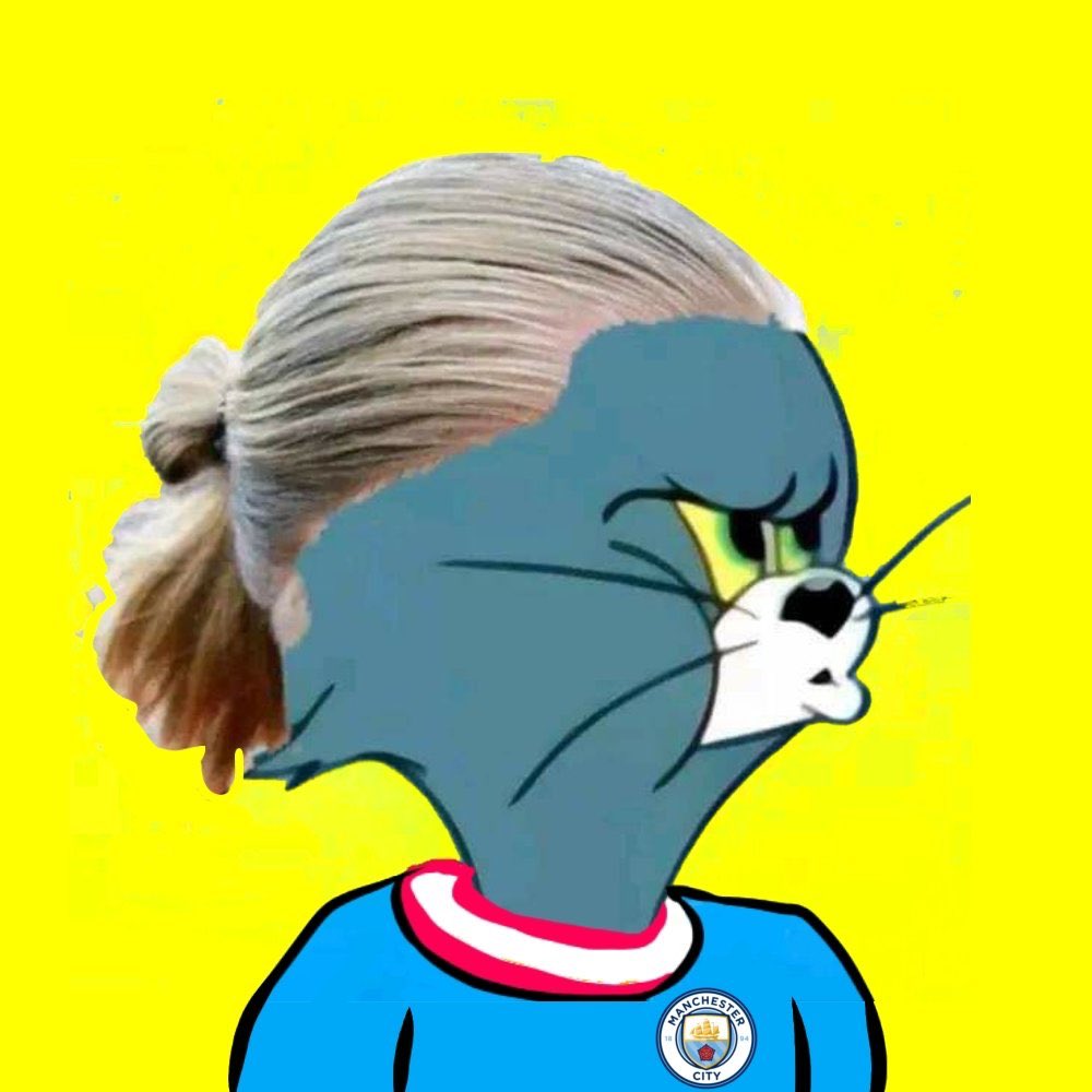 𝒢_𝒶_𝓊_𝓇_𝒶_𝓋 on Twitter: "@nocontextfooty Juicy cat https://t.co/rwfvBSqx3H" / Twitter