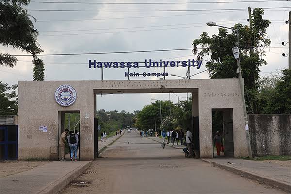 Hawassa University
