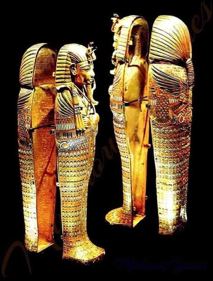 𝑩𝒍𝒂𝒄𝒌𝒔 𝑹𝒆𝒈𝒊𝒐𝒏 on Twitter: "1922 - 2022 100 years since the discovery of ...