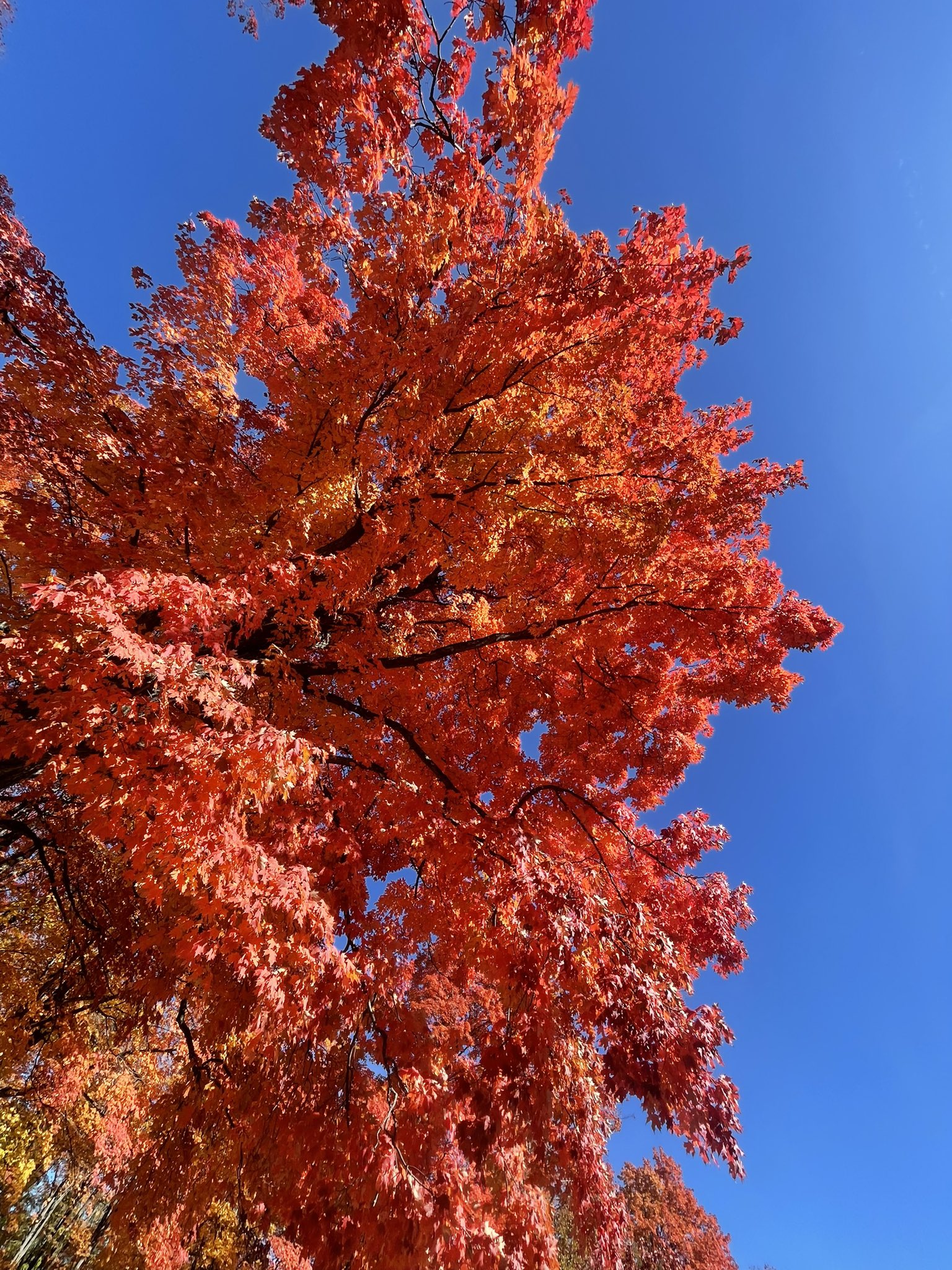 TW Pornstars - 1 pic. Zoë Ligon. Twitter. Leaf me to my alone time in nature!!!!. 6:41 PM - 10 ...