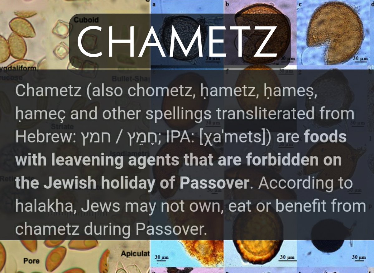 🧵 Behind the ritual of "Passover" is there a scientific method of ...