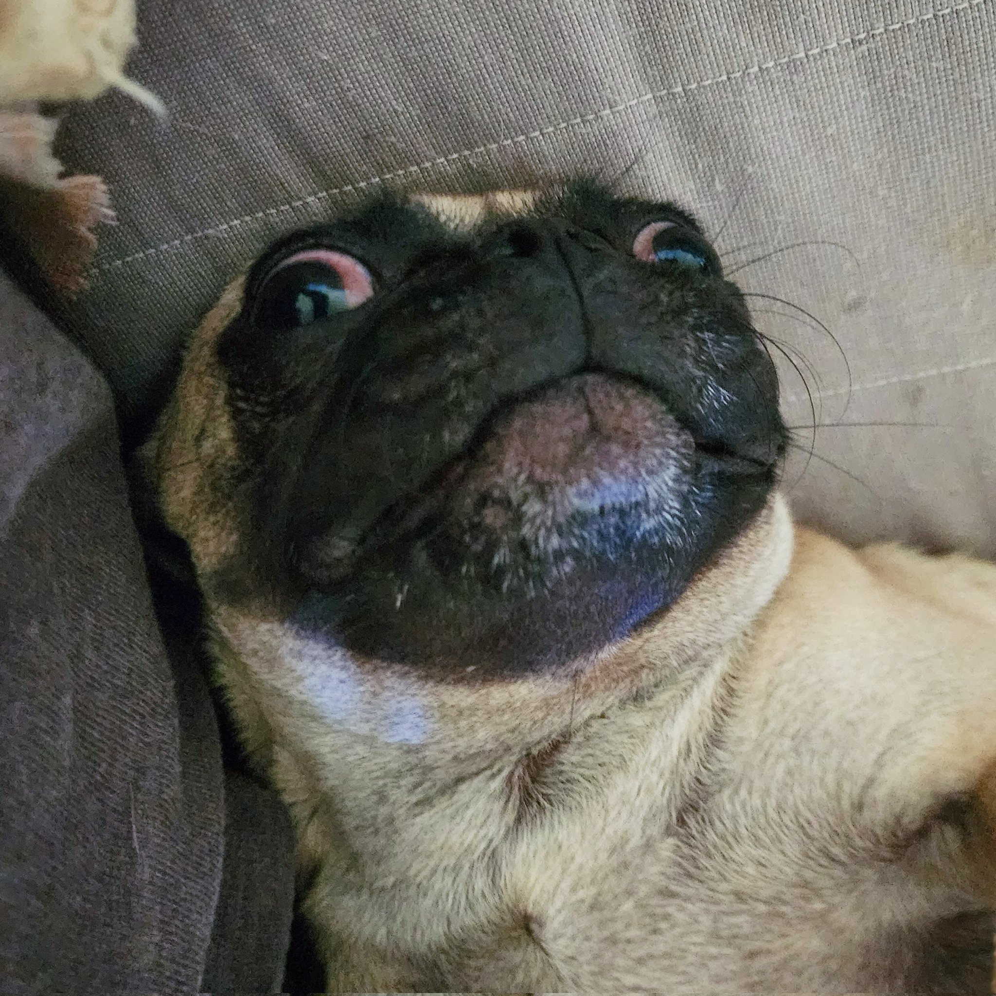 Bah Humpug on Twitter: Bah Humpug on Twitter: