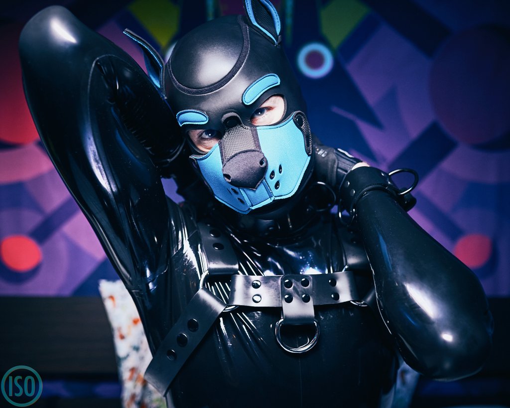 ℙ𝕦𝕡 𝕀𝕊𝕆 🔜MFF, FC, COG on Twitter: "It feels so good to be back in latex. Rubber puppy is ...