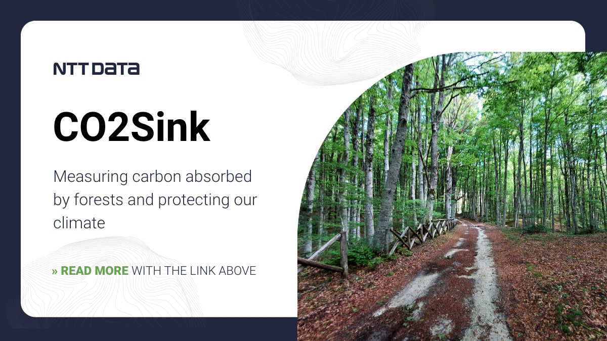 NTT DATA on Twitter: "Meet #CO2Sink, our innovative tool to measure how much #CO2 trees remove ...