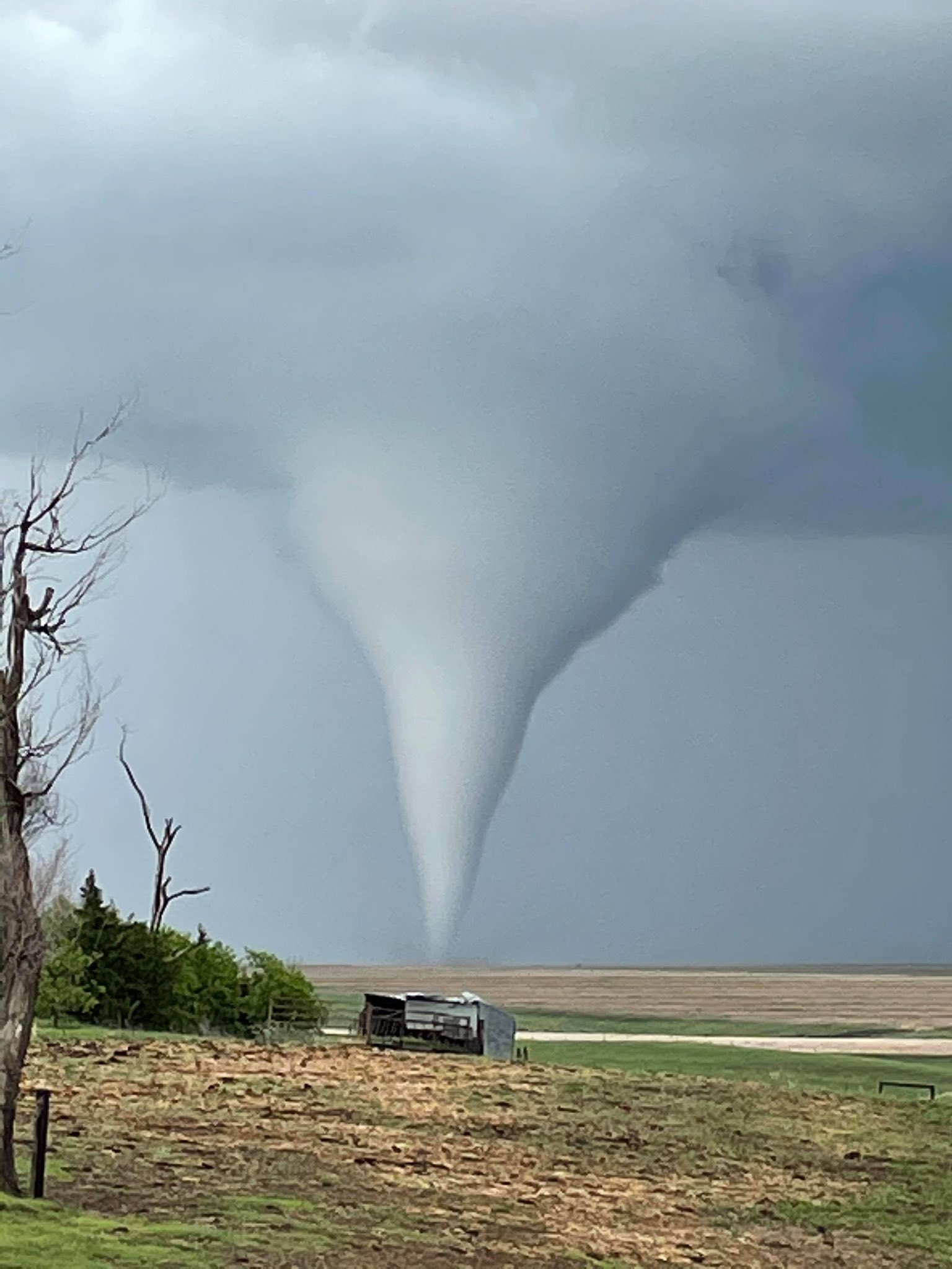 Ef1 Tornado