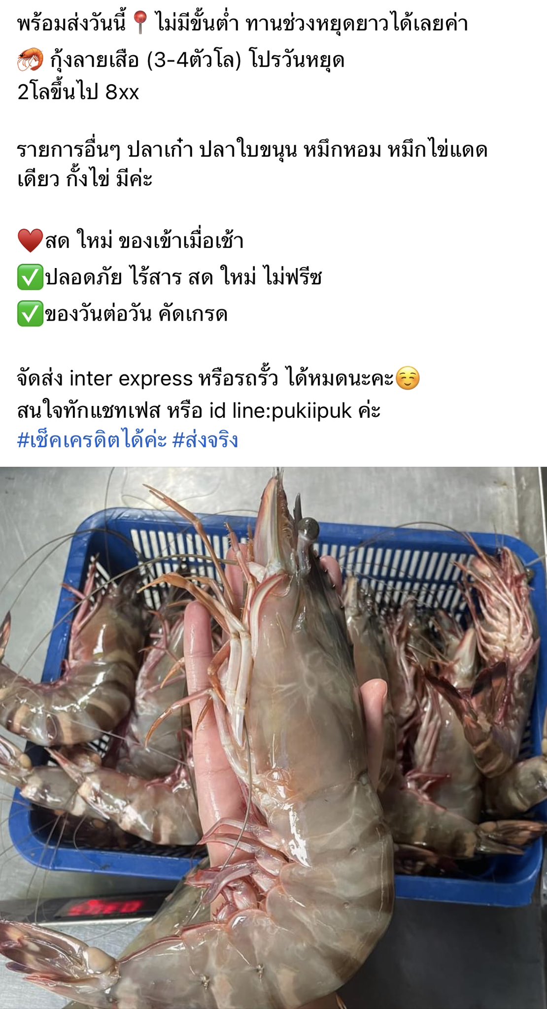 。Mame 。 on Twitter: "ตัวบะเริ่ม น่าโดนมาก ไซส์นี้ทำไรกินวะ 5555555 https://t.co/YgwkPHRkHC ...