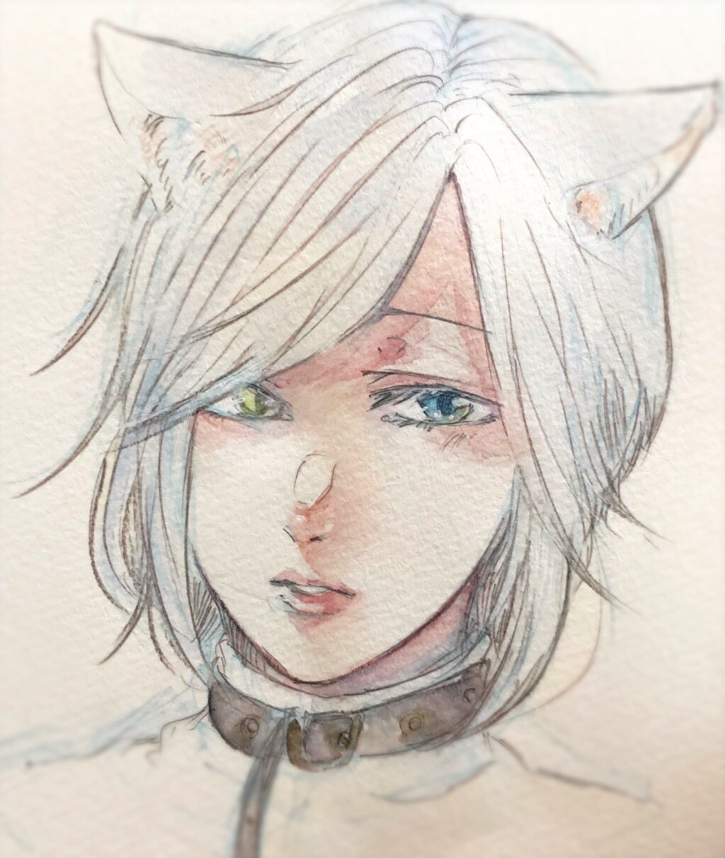 あさ on Twitter: "@Naru_M3110 オッドアイの白猫ちゃんのユキくん見てきたんだが脳内で既に雅隆が絡みに行ってる( ˆ̑‵̮ˆ̑ )(早い早い)そして外見美しすぎて借りまし ...