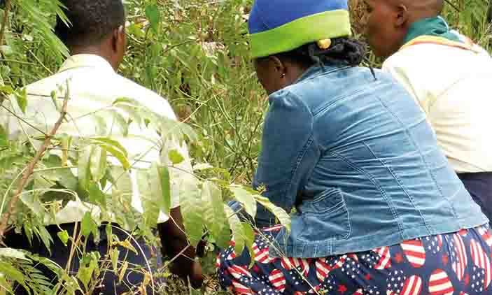 LABIAL PULLING THREAD It is practiced in several parts of eastern ...