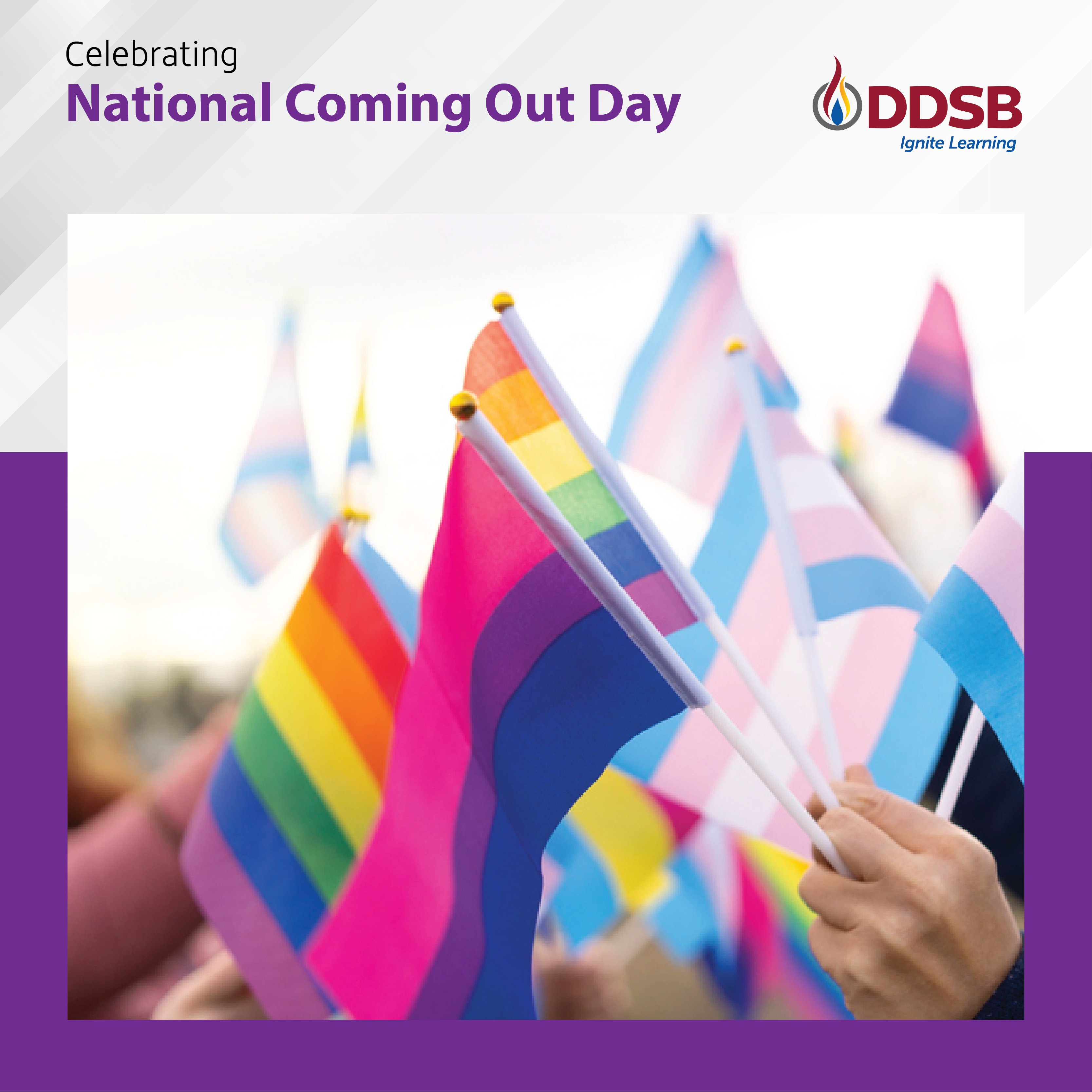 Norman G Powers Public School (@NGP_DDSB) / Twitter