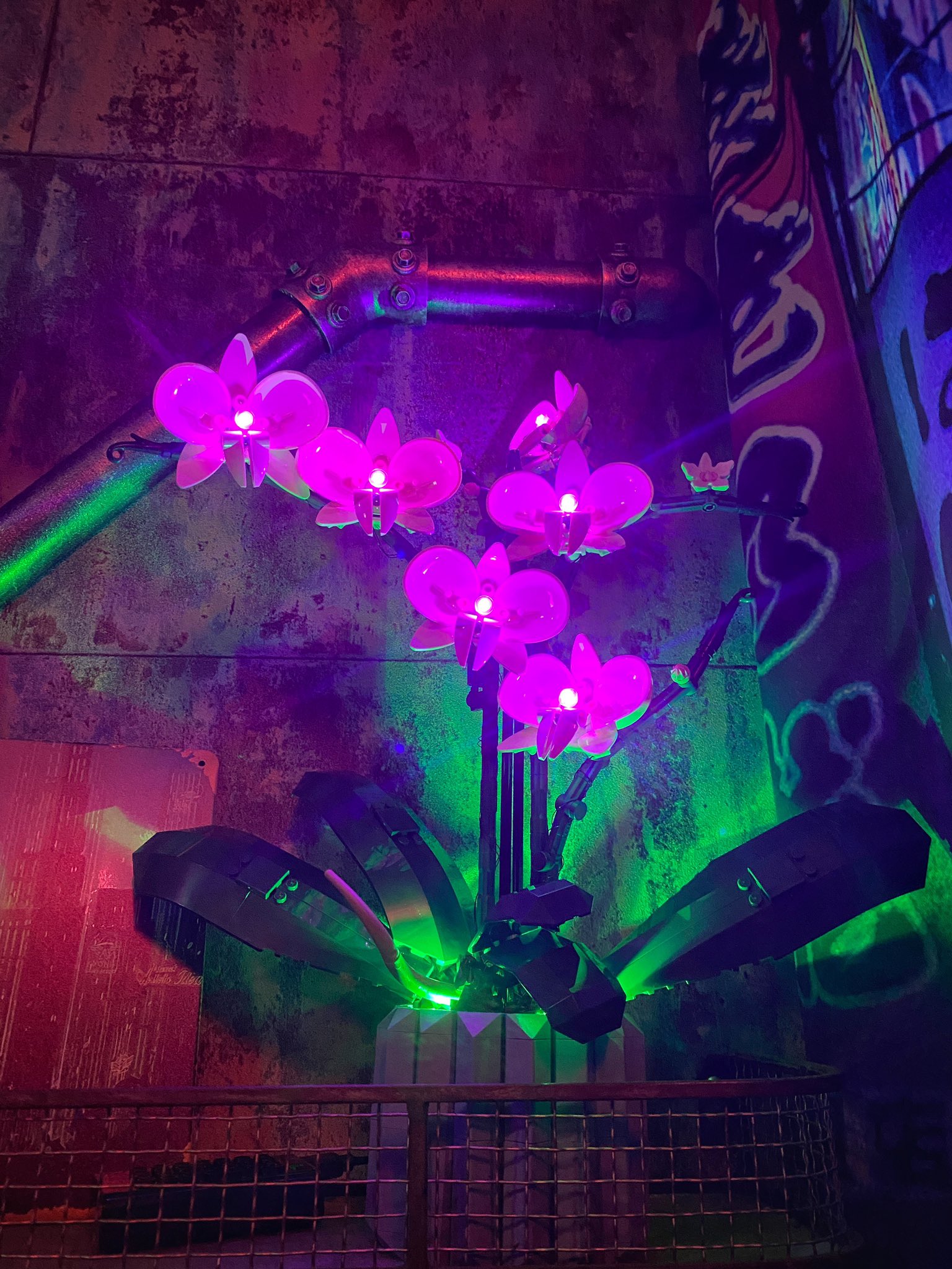 TW Pornstars - VividVivka. Twitter. I put a light kit in my first #Lego ...
