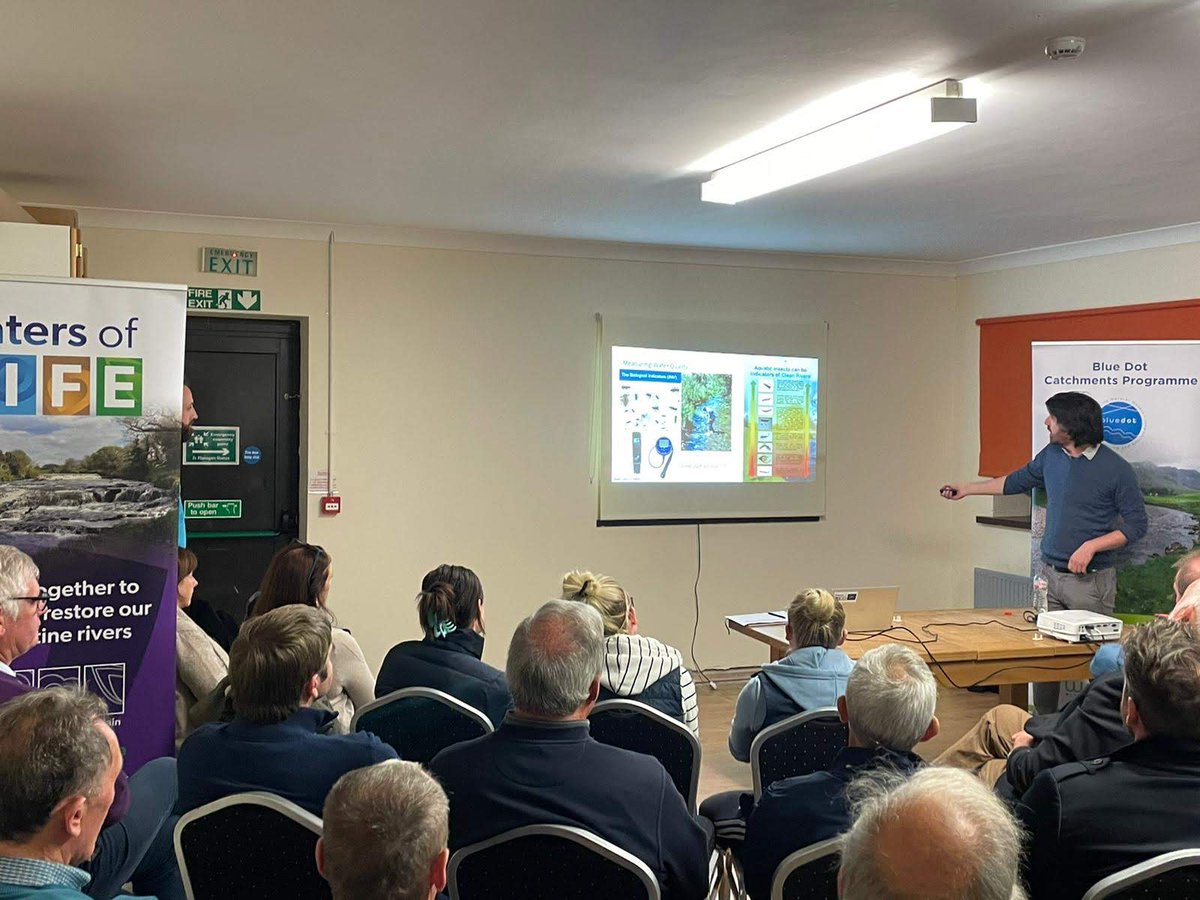 Employment & Enterprise - County Wicklow Partnership